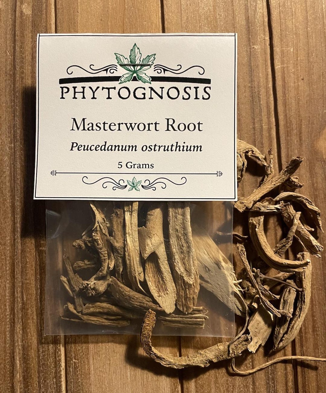 Masterwort Root - Peucedanum Ostruthium - for Hoodoo, Conjure, and ...