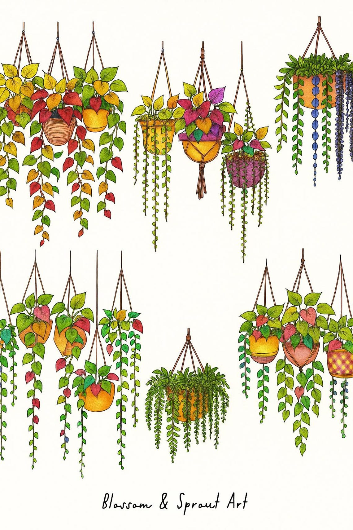 Printable Plant Coloring Page – String of Pearls & Pothos – Hanging ...