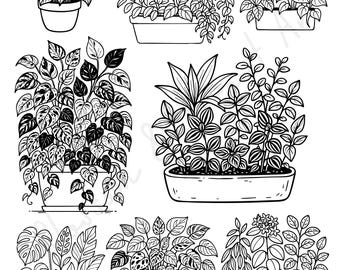 Printable Plant Coloring Page for Kids – Succulent Line Art Coloring ...