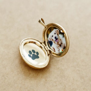 Dog Paw Print - Make A Unique Pet Portrait Locket - Personalized