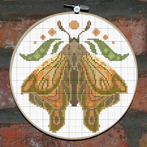 Moth Pattern PDF Download - Etsy