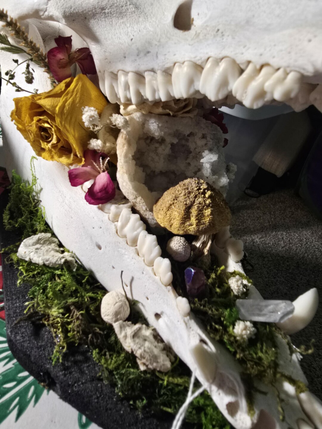 Wild Pig Skull Creation - Etsy