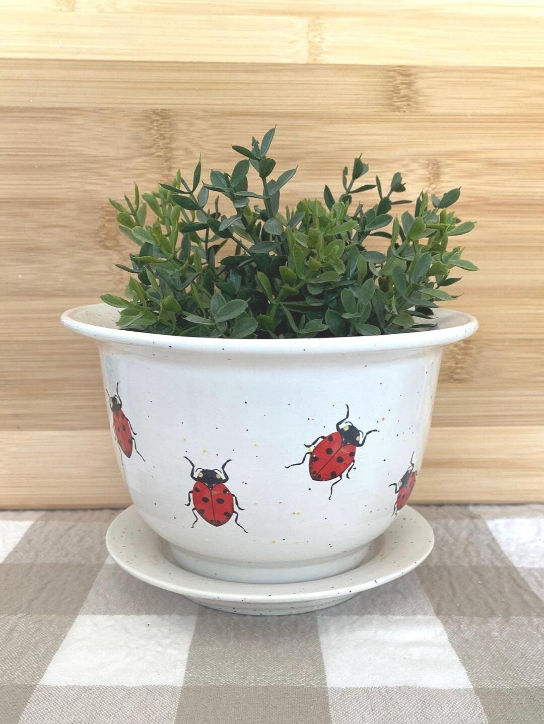 Flowerpot Ladybug With Drip Tray 2 Piece Planter Gift for Plant Lover ...