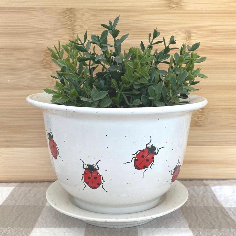 Ladybug Planter - Etsy