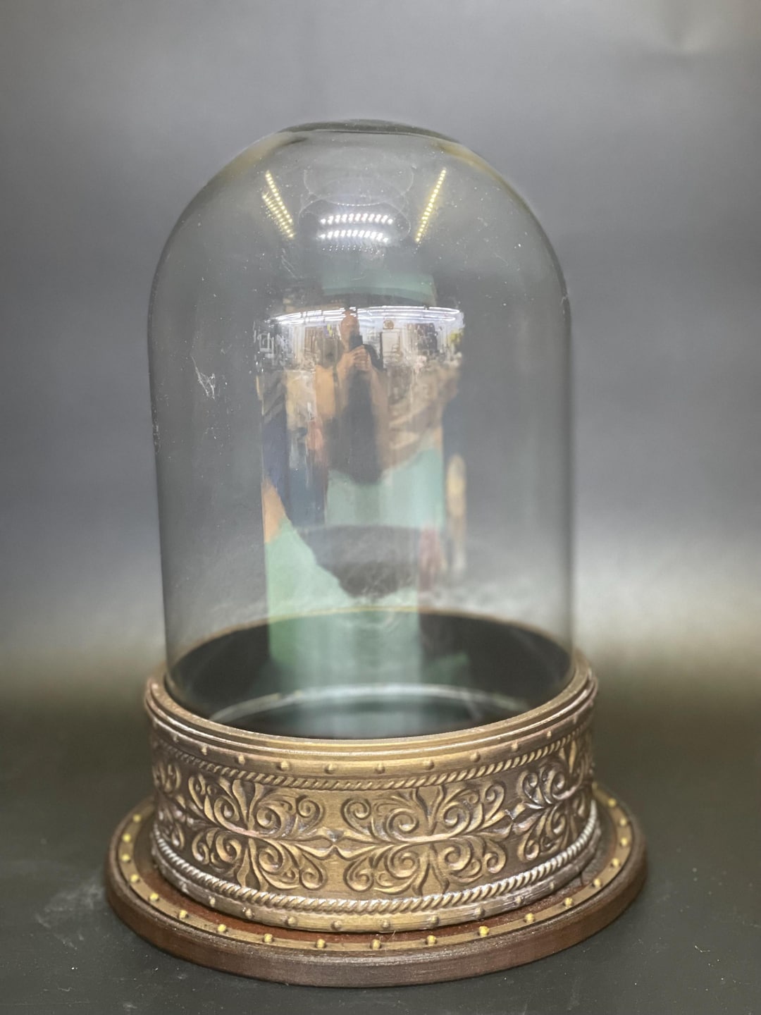 Large Glass Display Case for a Cabinet of Curiosities - Etsy