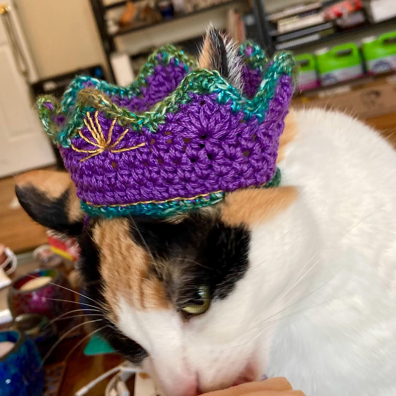 Royal Kitty Cat Crown - Etsy