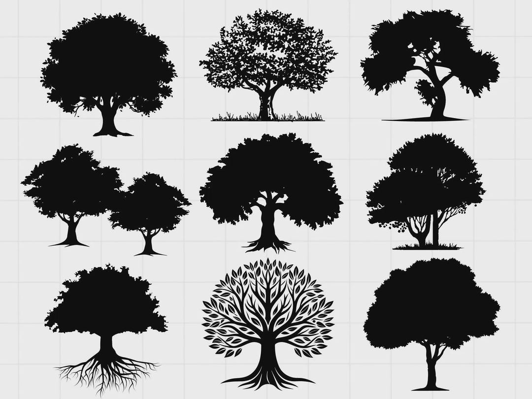 Oak Tree SVG Bundle , Tree Svg, Big Tree Svg, Oak SVG, Outdoor SVG ...