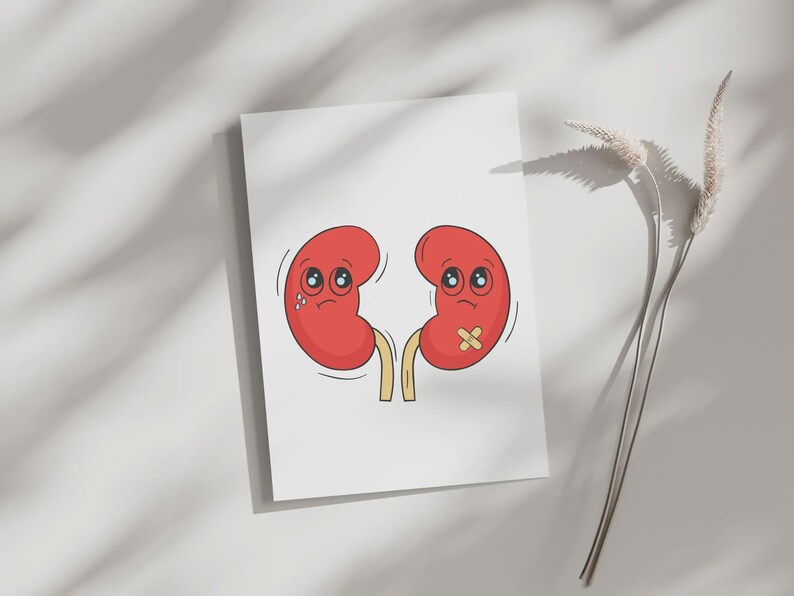 Kidney Svg Bundle, Kidney Clipart for Cricut, Kidney Silhouette, Kidney ...