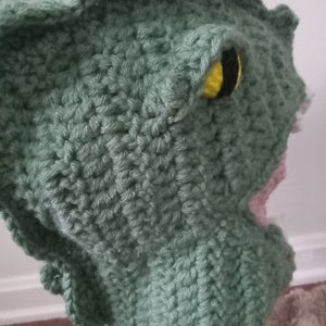 Dinosaur Hat, Crocodile Hood, Aligator Mask, T Rex, Velociraptor Beanie ...