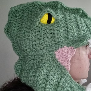 Dinosaur Hat, Crocodile Hood, Aligator Mask, T Rex, Velociraptor Beanie ...