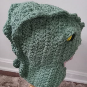 Dinosaur Hat, Crocodile Hood, Aligator Mask, T Rex, Velociraptor Beanie ...