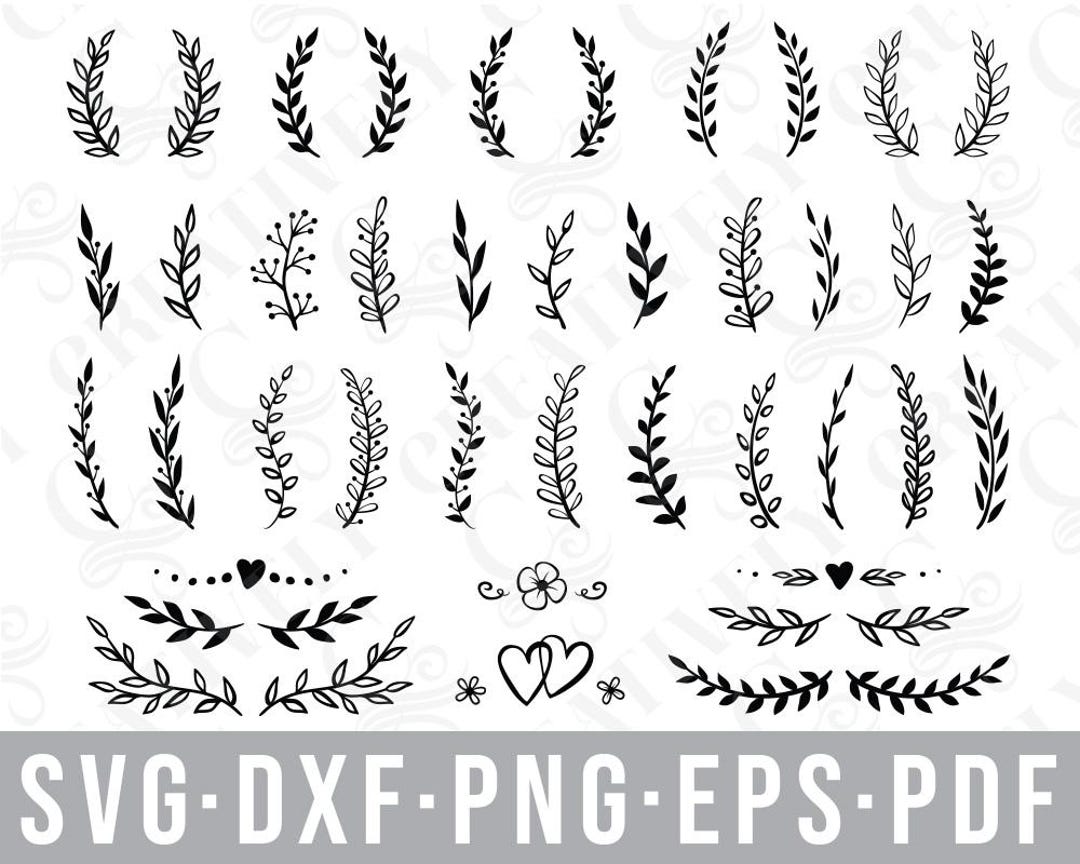 Paquete botánico de hojas de rama SVG PNG DXF Eps Pdf archivos ...