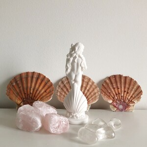 Venus Figurine Plaster Goddess Statue, White / Pearlescent Ornament ...