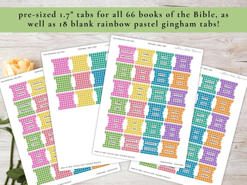 Printable Bible Tabs Pastel Rainbow Gingham Theme All 66 Books + 18 ...