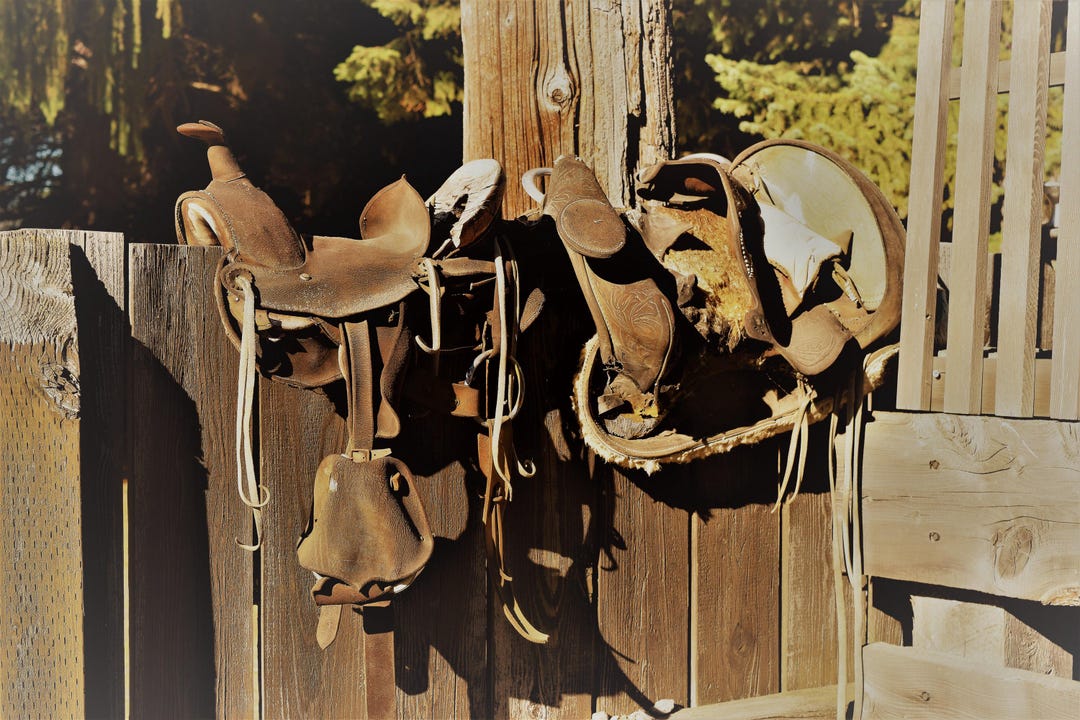 Horse Saddle Ropes Harness Barn Gas Pump Tractors Wagons Hay Rakes ...