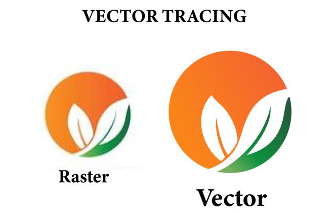 I Will Do Vector Tracing, Replicate, Logo to Vector, Image to Vector - Etsy