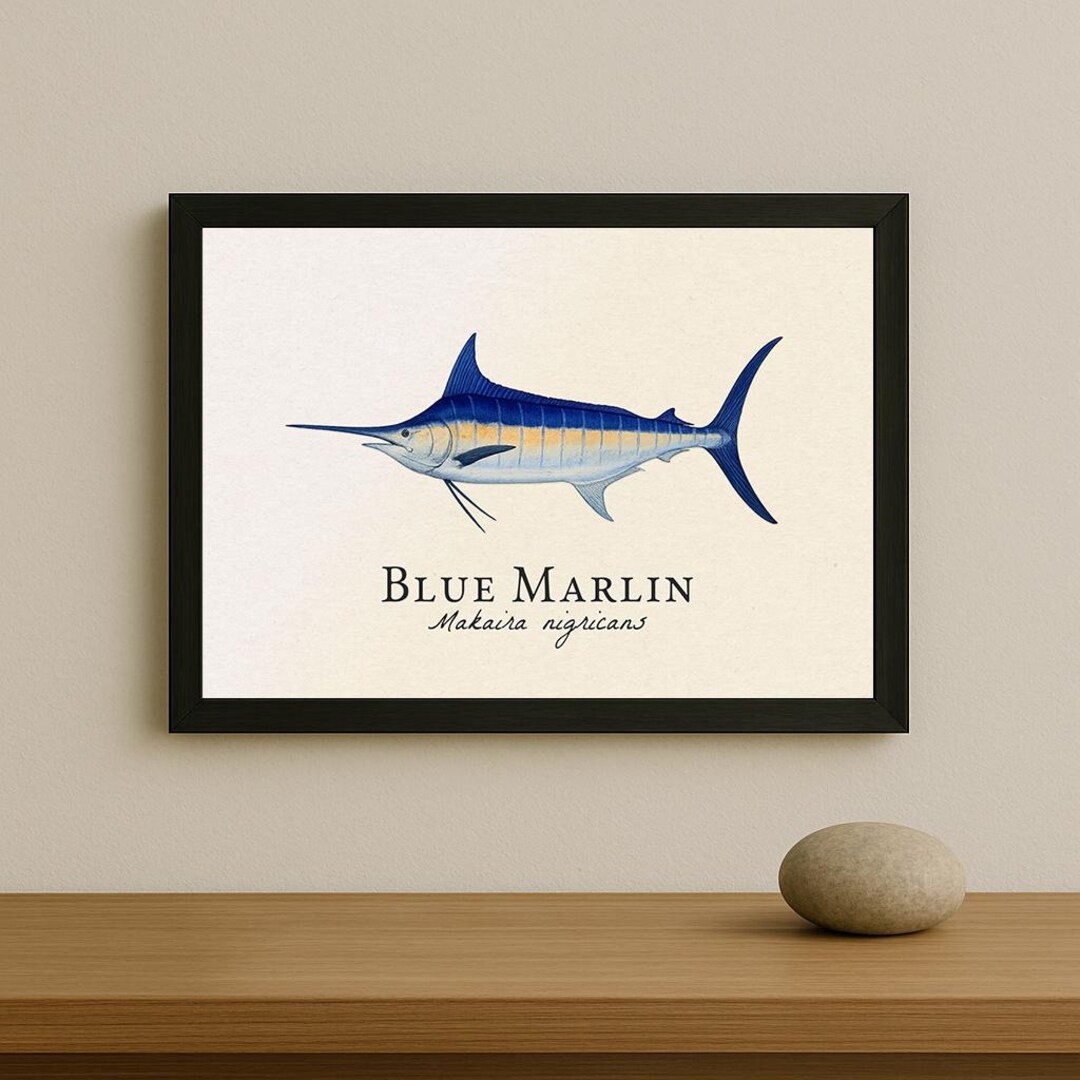 Blue Marlin Framed Print – Vintage Scientific Illustration, Coastal Art ...