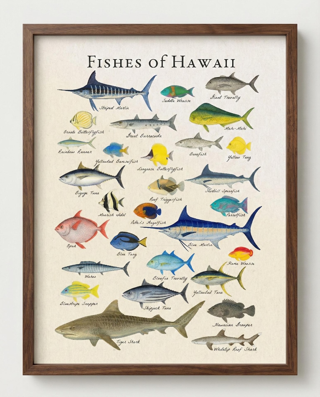 Fishes of Hawaii Art Print: Vintage Scientific Illustration Tropical ...