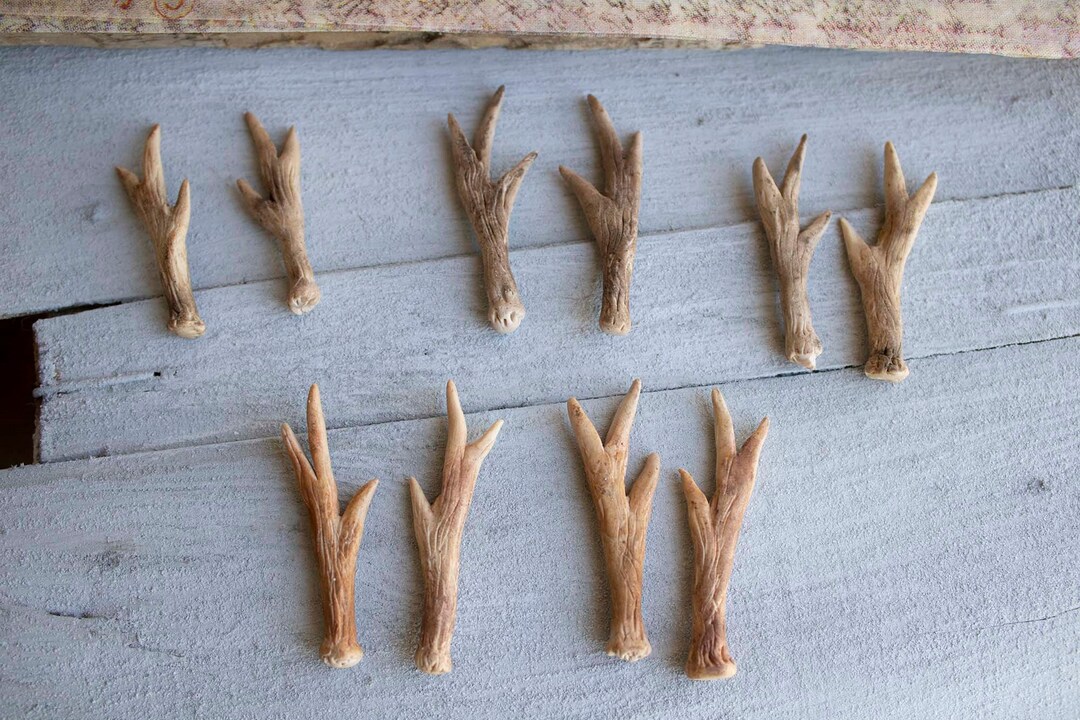 Miniature Deer Antlers, Set Miniature Horns for Dollhouse, Apothecary ...