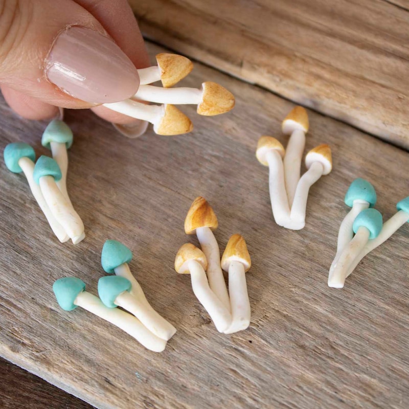 Miniature Mushroom - Etsy
