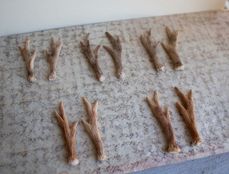 Miniature Deer Antlers, Set Miniature Horns for Dollhouse, Apothecary ...