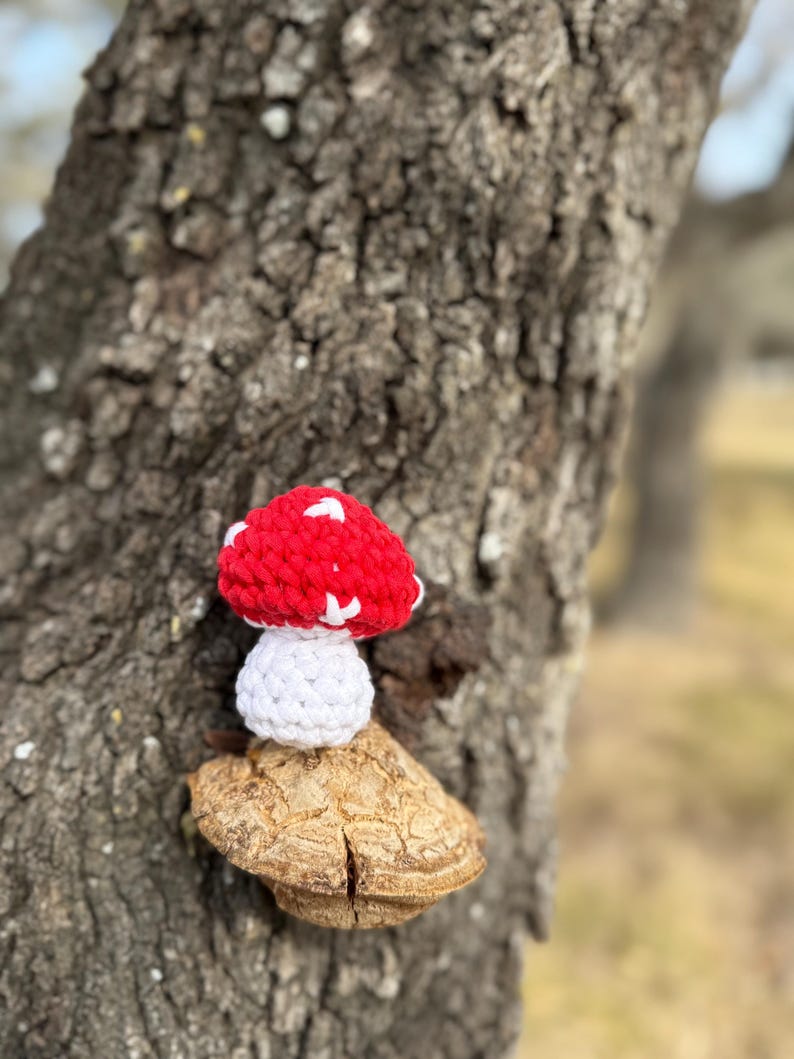 Handmade Mini Crochet Plush Mushroom Amigurumi – Whimsical Forest Decor ...