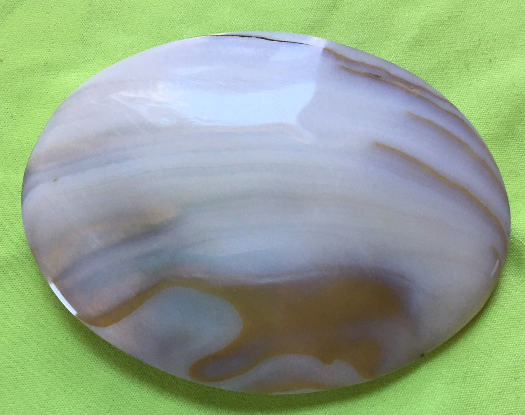 Coastal Beach Fashion! Great GIFT. Oval White and Beige Clam Shell ...