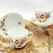 Antique French Porcelain Tea Cups and Saucers Multicolor - Etsy