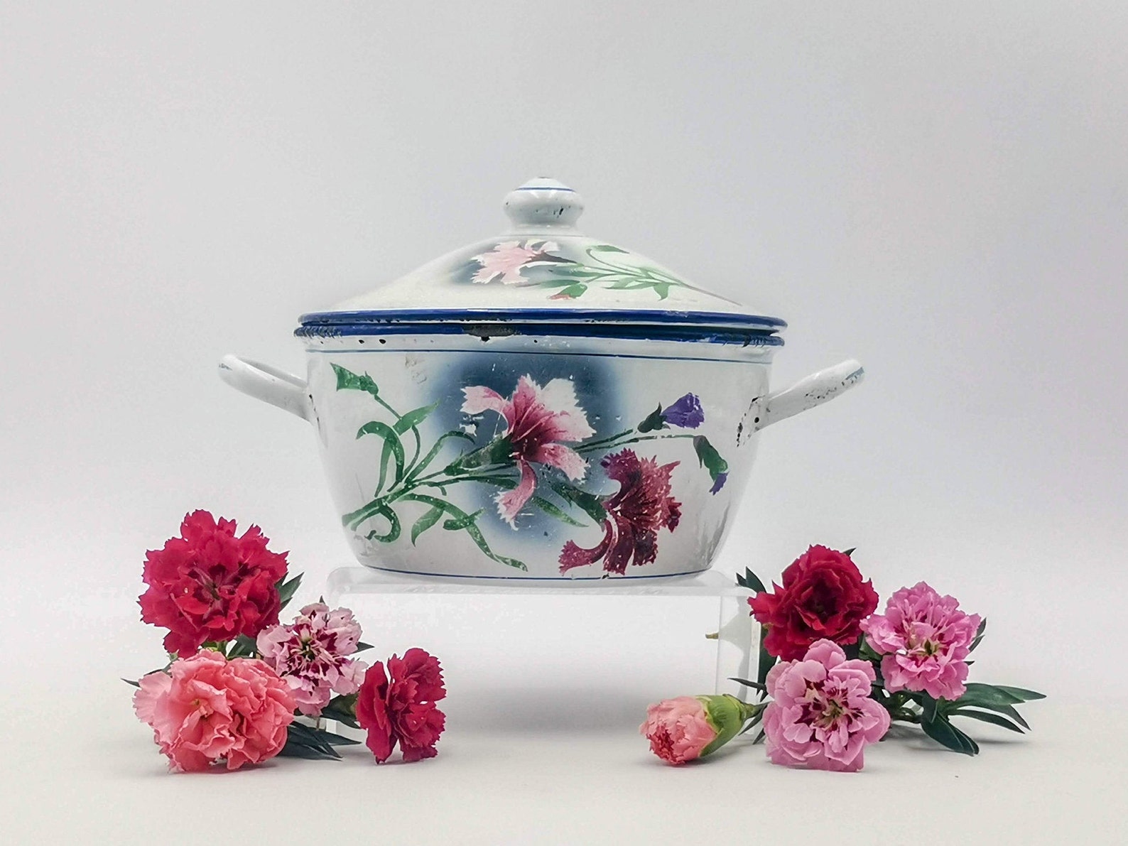 Enameled French Small Soup Tureen Japy 1930's Airbrushed - Etsy