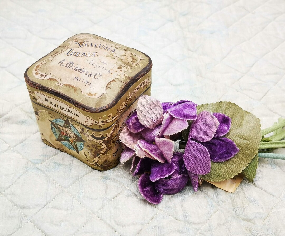 Antique Italian Cardboard Box, Empty Powder Box With Lithograped ...