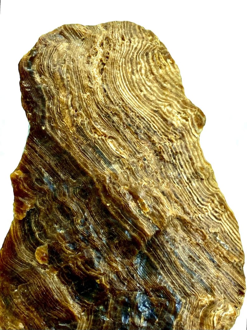 Natural Chocolate Calcite Free Form Crystal: Pakistan Origin, 310g ...