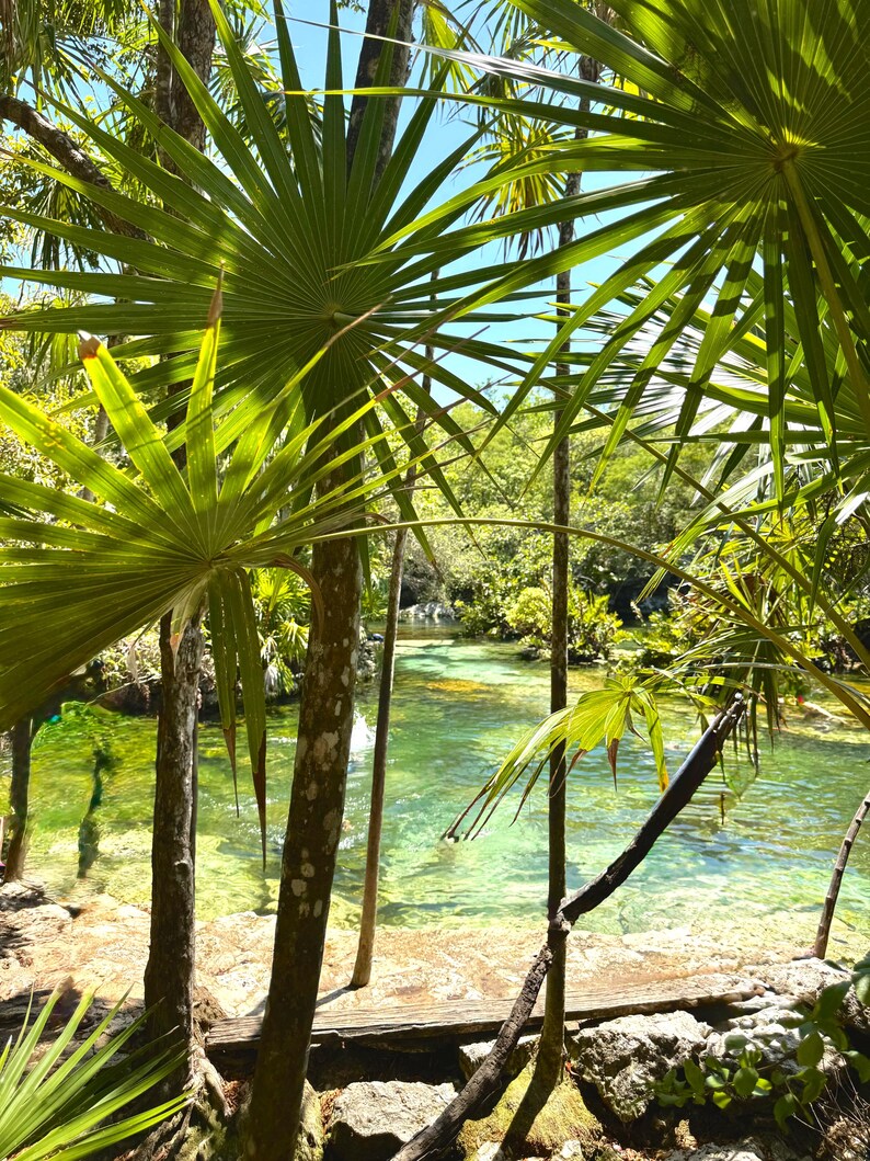 Printable, Cenote Pool, Cenote, Cenote Azul, Blue Cenote, Tropical ...