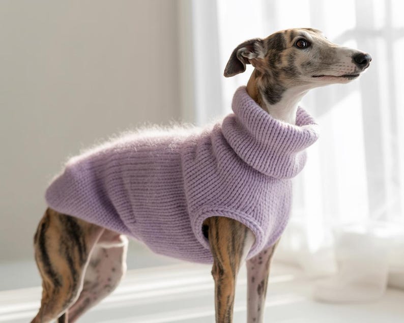 Dog Sweater Knitting Pattern | Turtleneck Jumper for Whippet, Italian ...