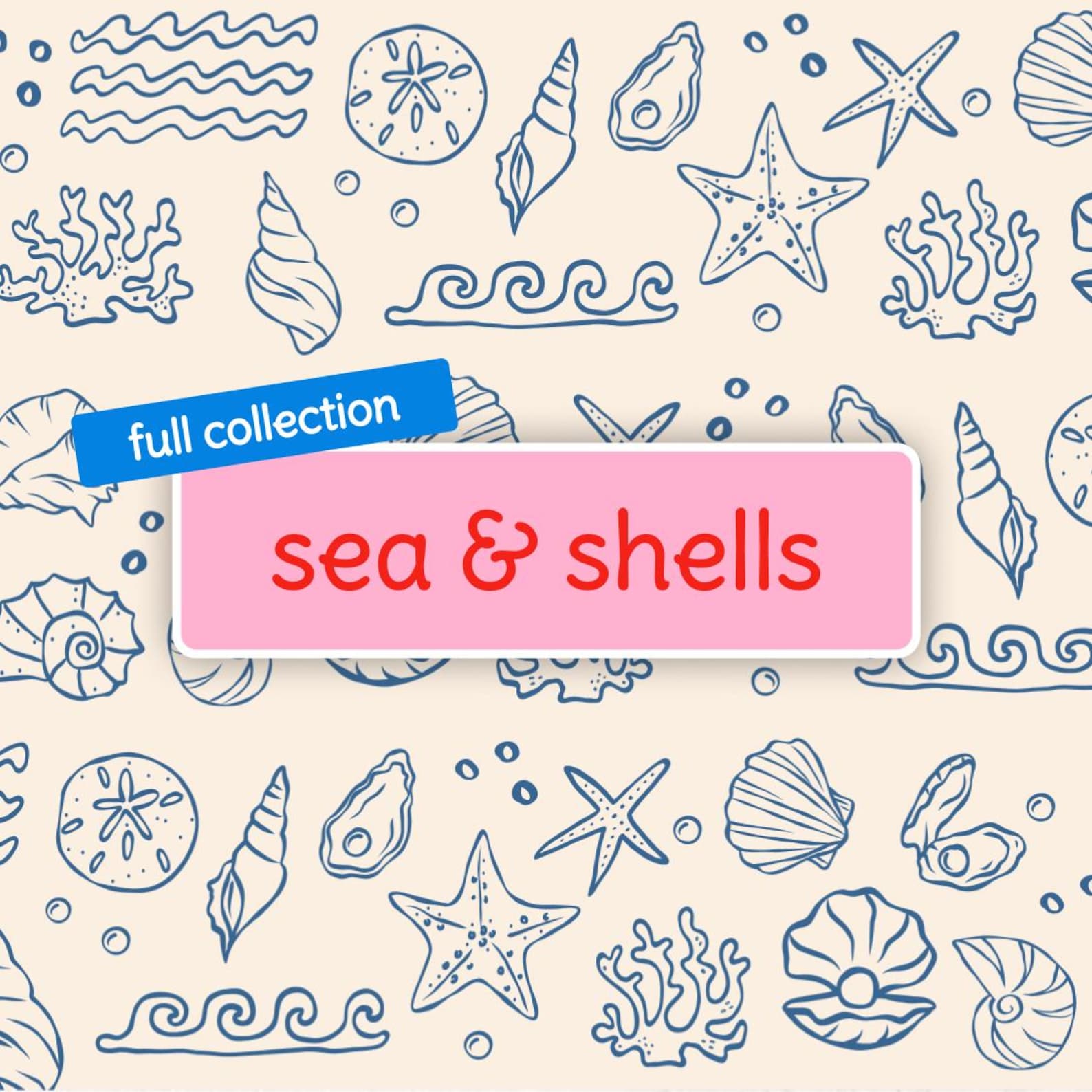 Sea & Shells Classroom Decor Collection | Sand - Etsy