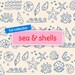 Sea & Shells Classroom Decor Collection | Sand - Etsy