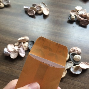 Unusual Gift - 5 Sprouting Seed Faces - Plantable Paper With Edible ...