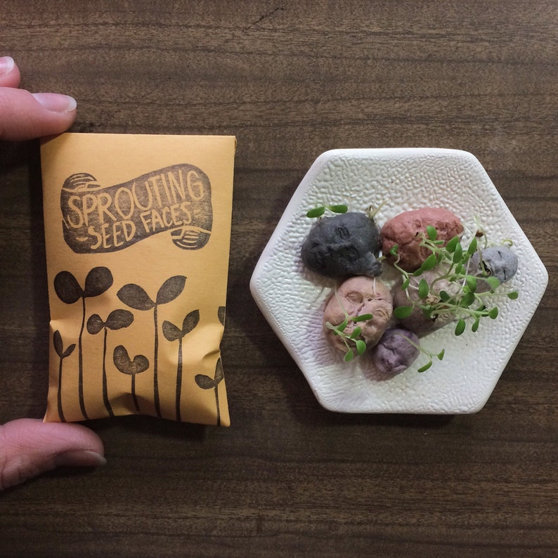 Unusual Gift - 5 Sprouting Seed Faces - Plantable Paper With Edible ...