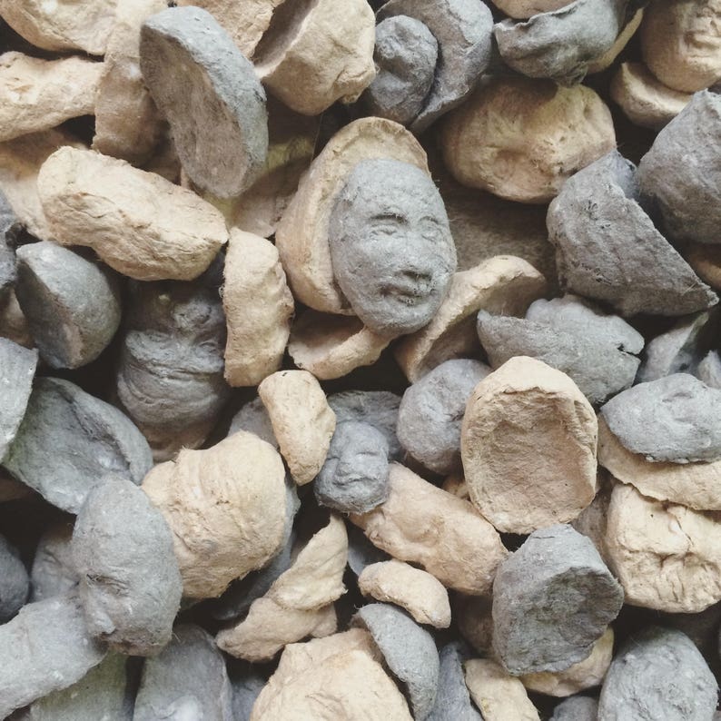 Unusual Gift 5 Sprouting Seed Faces Plantable Paper With | Etsy