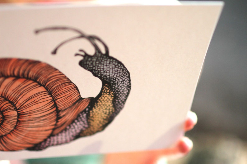 Watercolor/ink-animal-insects-snail - Etsy
