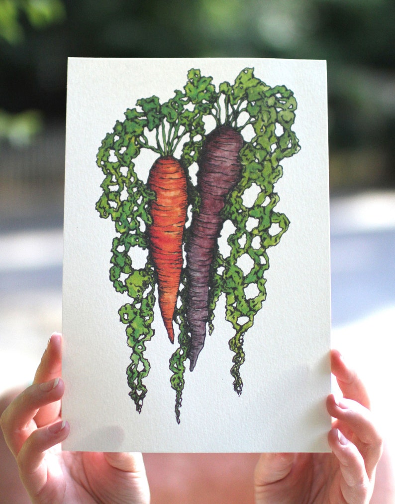 Watercolor/Ink-Food-Fruits/Vegetables-Carrots | Etsy