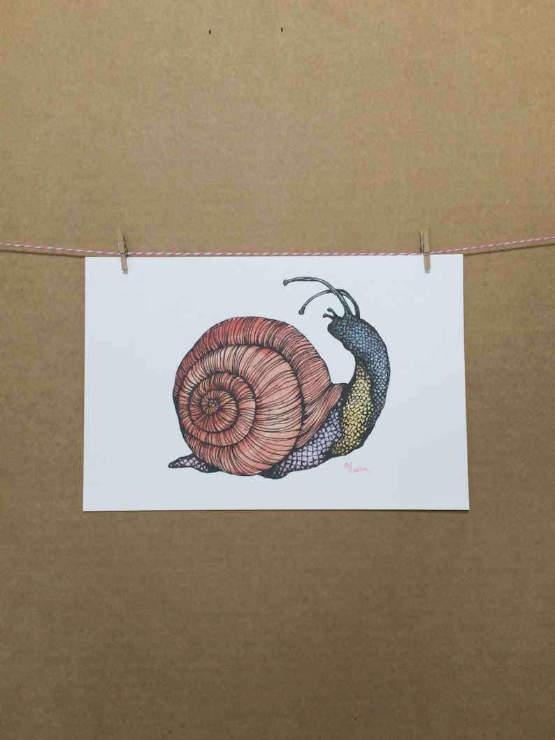 Watercolor/ink-animal-insects-snail - Etsy
