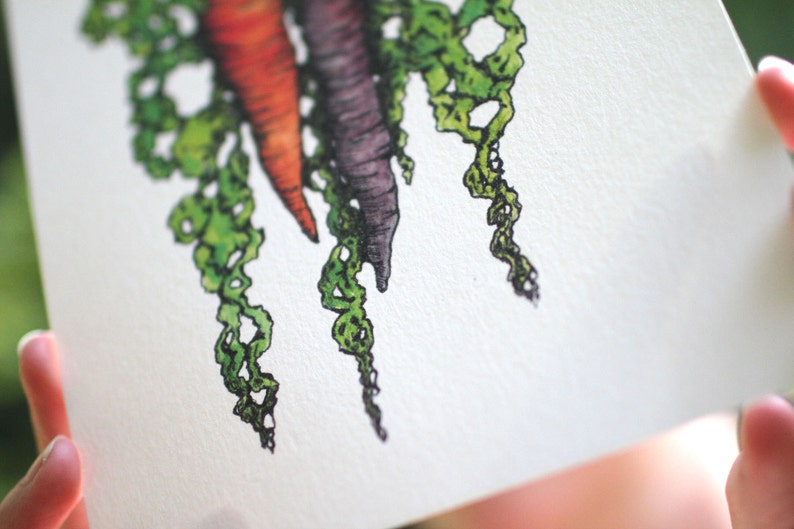 Watercolor/Ink-Food-Fruits/Vegetables-Carrots | Etsy