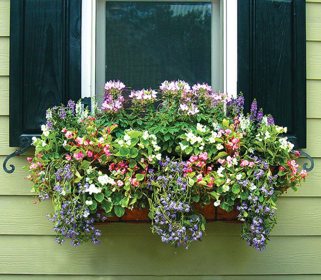 New Hot 24 Inch Window Box Planter & Liner Set - Etsy
