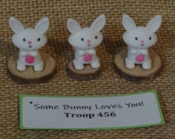Set of Ten 10 Some Bunny Loves You Rabbit Easter Scout SWAP or Craft ...