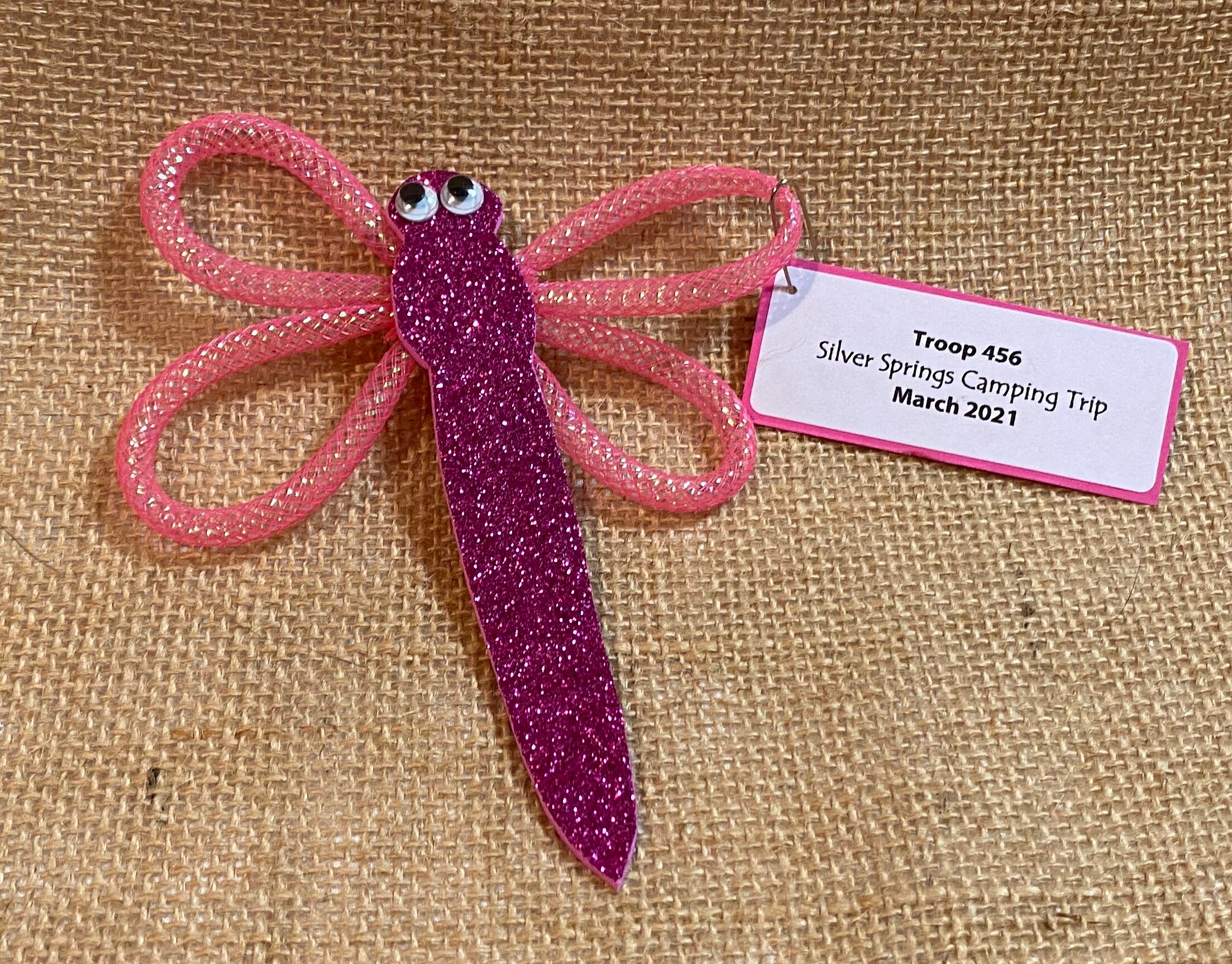 Set of Ten 10 Dragonfly Clip or Pin Scout SWAP or Craft Kits | Etsy