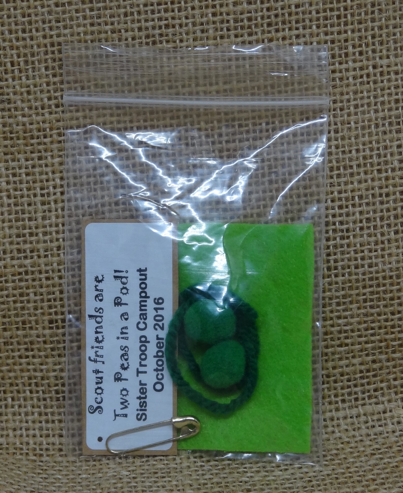 Set of Ten 10 Two Peas in a Pod One of a Kind Scout SWAP or - Etsy