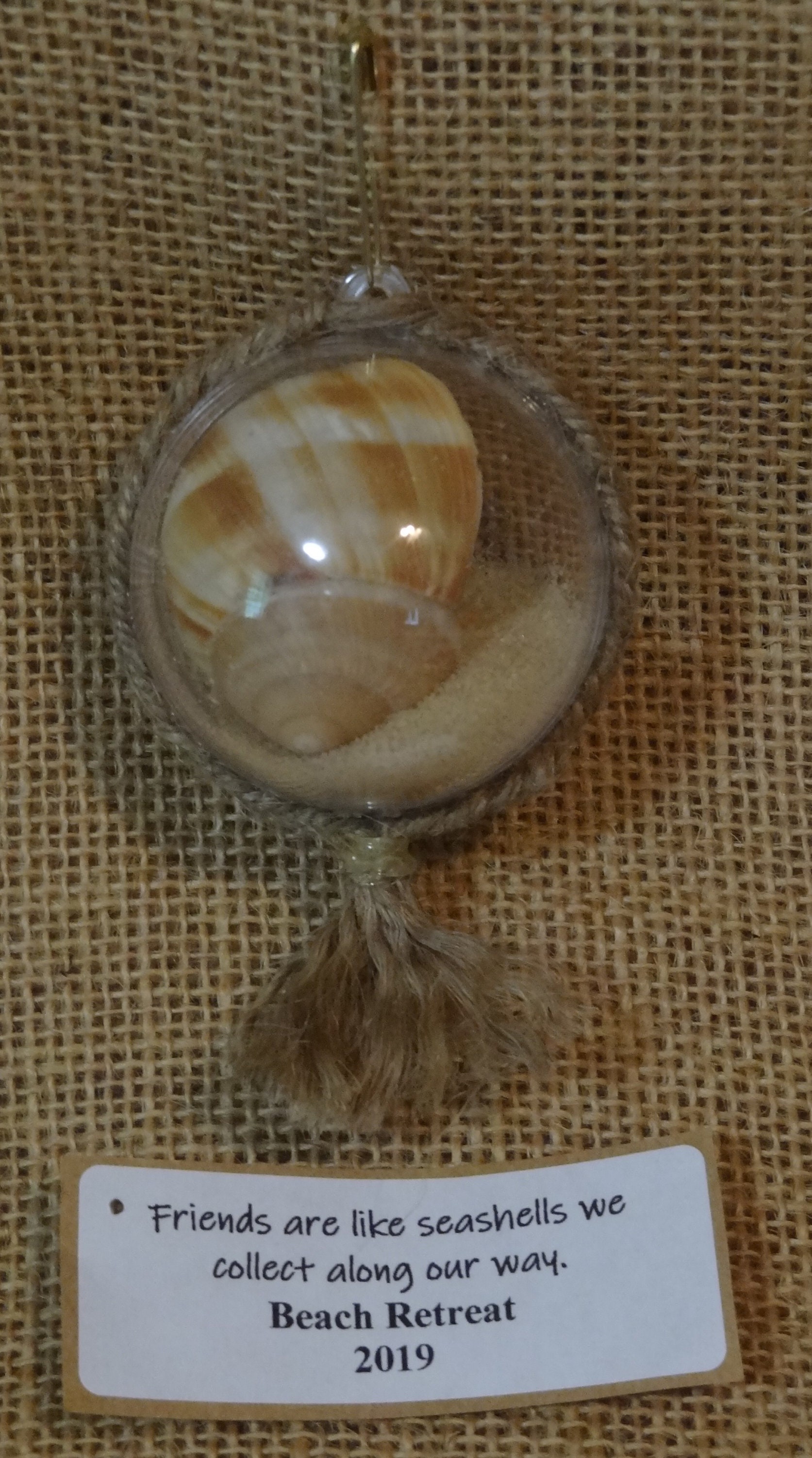 Set of Ten (10) Seashell Sand Beach Ocean Globe Scout SWAP or Craft ...