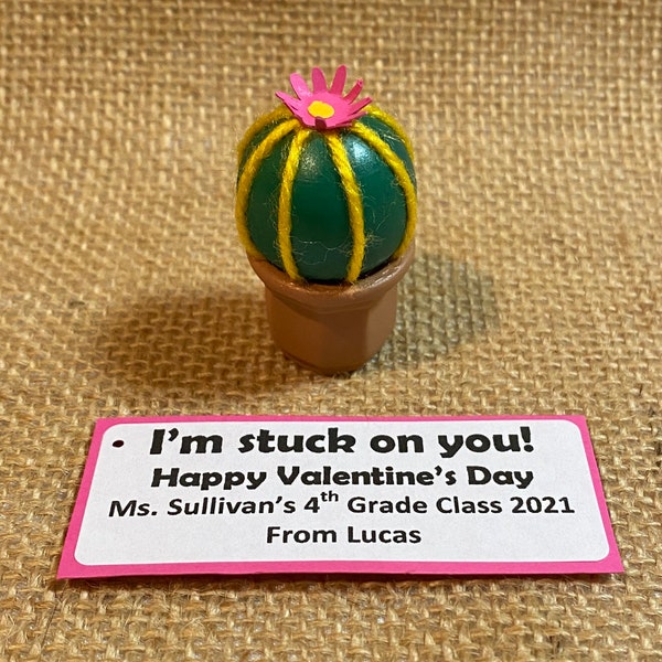 Stuck on You Cactus - Etsy