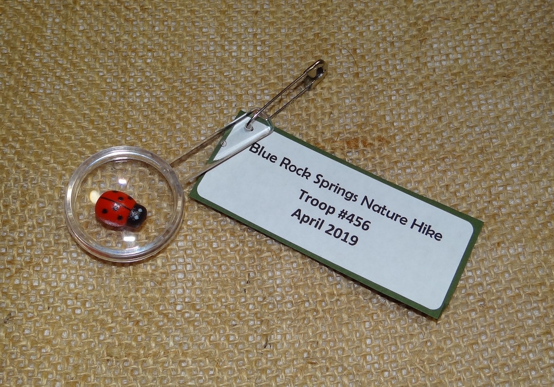 Set of Ten (10) Lady Bug Ladybug on a Magnifying Glass Scout SWAP or ...