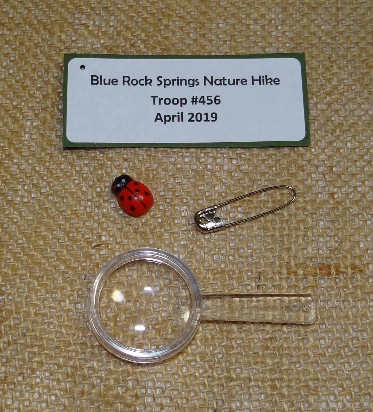 Set of Ten 10 Lady Bug Ladybug on a Magnifying Glass Scout | Etsy